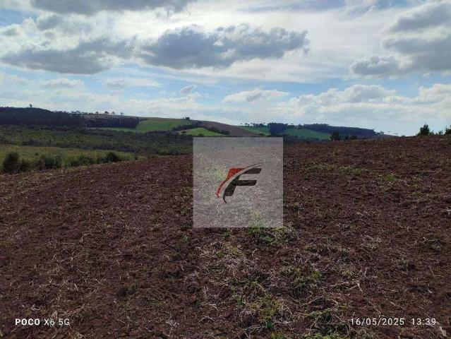 Fazenda para Venda em Quitandinha/PR Zona Rural
