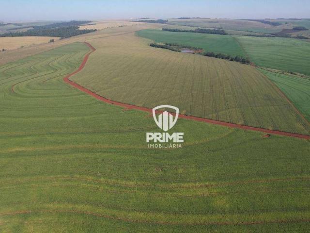 Fazenda para Venda em Rolândia/PR São Martinho
