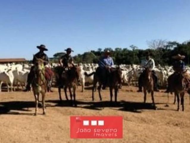Fazenda para Venda em Rondolândia, 20 dormitórios, 15 banheiros