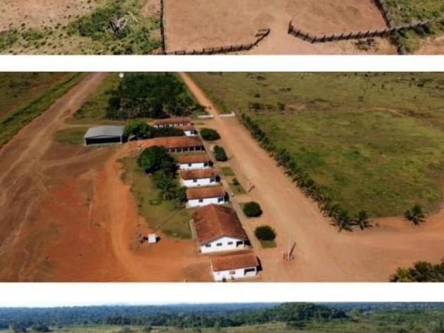 Fazenda para Venda em Rondolândia, 28 dormitórios, 30 banheiros, 20 vagas