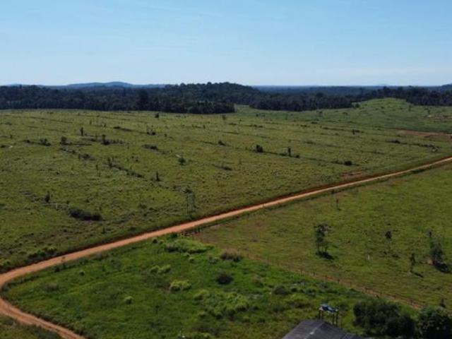 Fazenda para Venda em Rondolândia, ÁREA RURAL