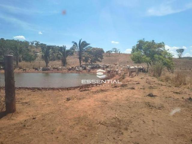 Fazenda para venda em Rondonópolis