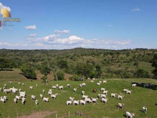 Fazenda para Venda em Rondonópolis/MT Área Rural de Rondonópolis