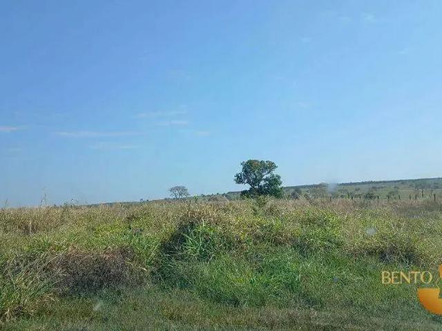 Fazenda para Venda em Rondonópolis/MT Micro Distrito Anézio Pereira de Oliveira 2 Quartos