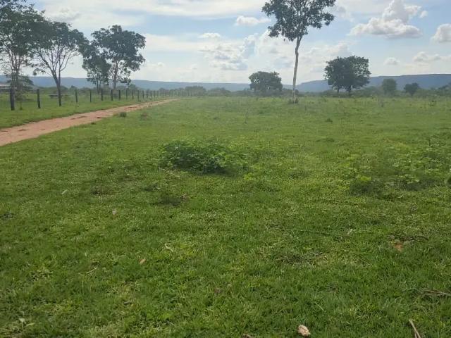 Fazenda para Venda em Rosário Oeste/MT Marzagão