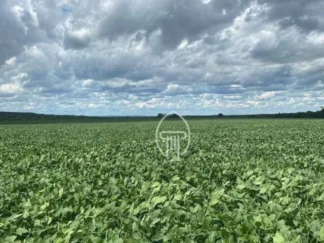 Fazenda para Venda em Rosário Oeste/MT Zona Rural