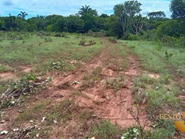 Fazenda para Venda em Rosário Oeste/MT Zona Rural