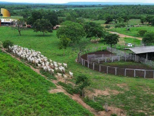 Fazenda para Venda em Rosário Oeste/MT Zona Rural