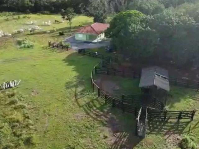Fazenda para Venda em Rosário Oeste/MT Zona Rural