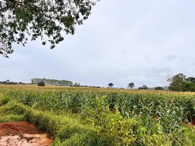 Fazenda para Venda em Rosário Oeste/MT Zona Rural