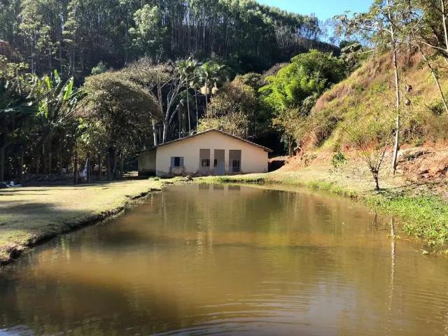 Fazenda para Venda em Roseira/SP Centro 3 Quartos