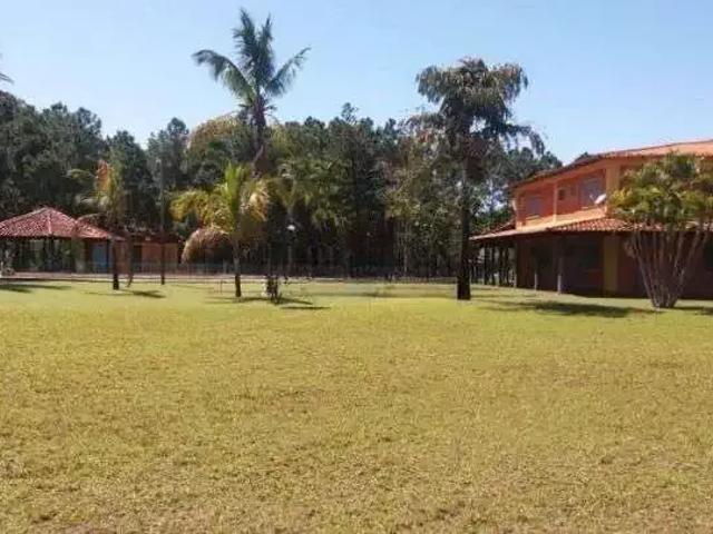 Fazenda para Venda em Rancharia/SP Centro 4 Quartos