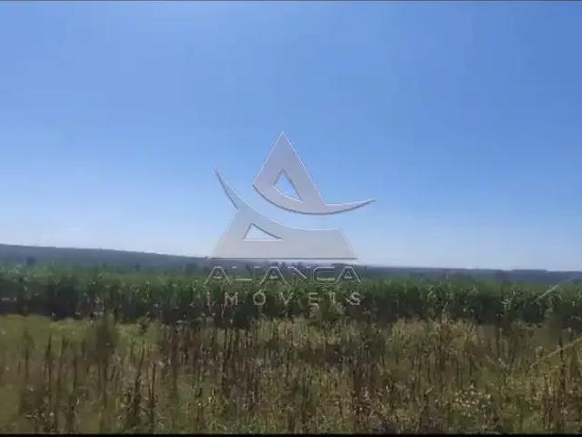 Fazenda para Venda em Rancharia/SP Zona Rural 1 Quartos