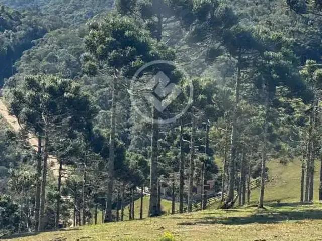 Fazenda para Venda em Rancho Queimado/SC Invernadinha 2 Quartos