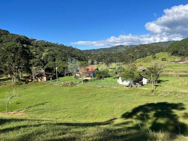 Fazenda para Venda em Rancho Queimado/SC Taquaras 3 Quartos