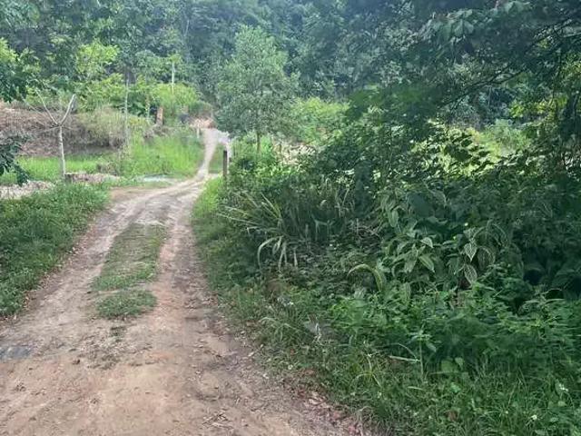 Fazenda para Venda em Recife/PE Guabiraba