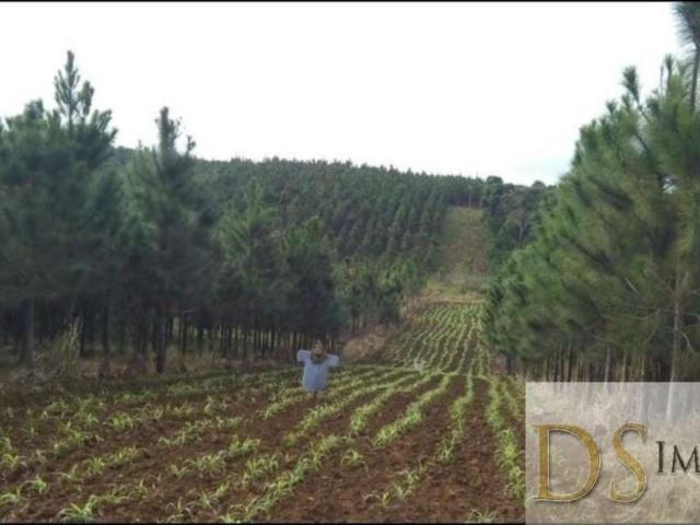 Fazenda para Venda em Registro/SP Centro
