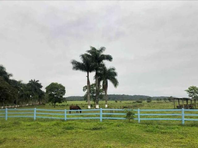 Fazenda para Venda em Registro/SP Centro