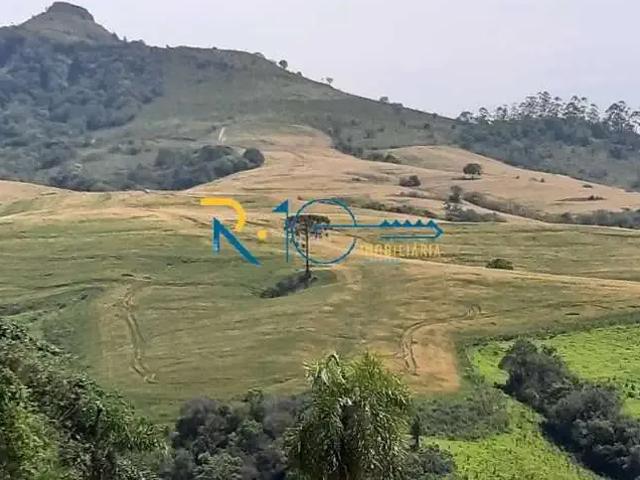 Fazenda para Venda em Reserva/PR Barra Bonita