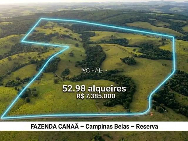 Fazenda para Venda em Reserva/PR Campinas Belas