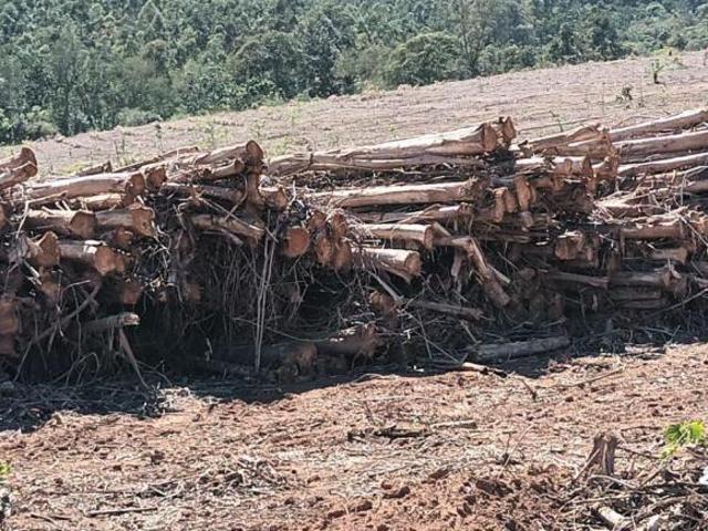 Fazenda para venda em Residencial Santa Maria Amparo, Amparo
