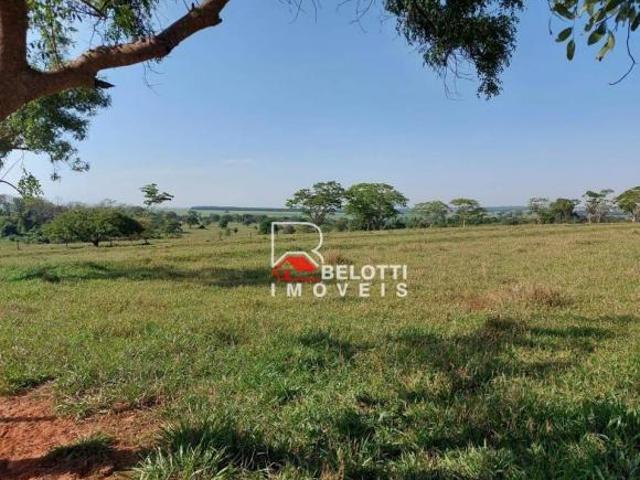 Fazenda para venda em Residencial Palestra, São José do Rio
