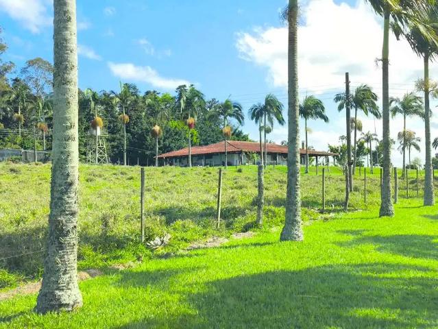 Fazenda para Venda em Riversul/SP Centro 6 Quartos