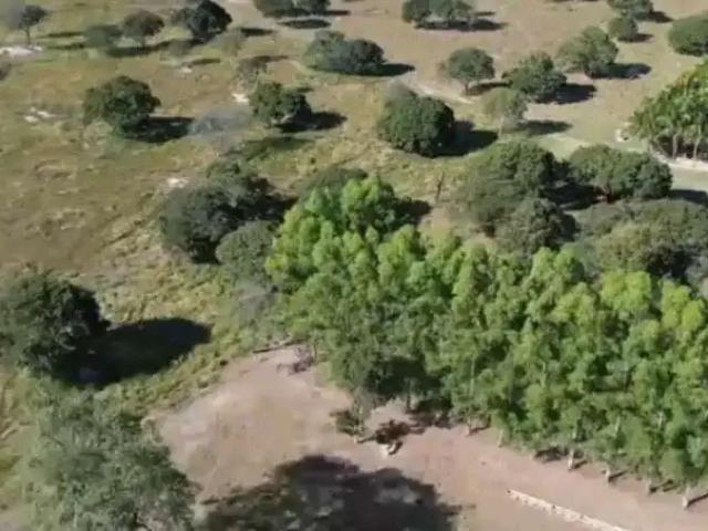 Fazenda para Venda em Riachinho/MG Zona Rural