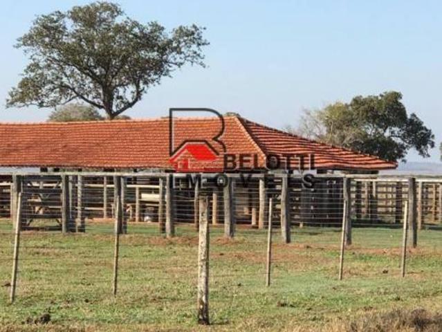 Fazenda para venda em Ribas do Rio Pardo
