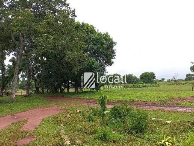 Fazenda para Venda em Ribas do Rio Pardo/MS Vila Nossa Senhora da Conceição 1 Quartos