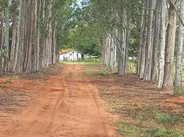 Fazenda para Venda em Ribas do Rio Pardo/MS Zona Rural