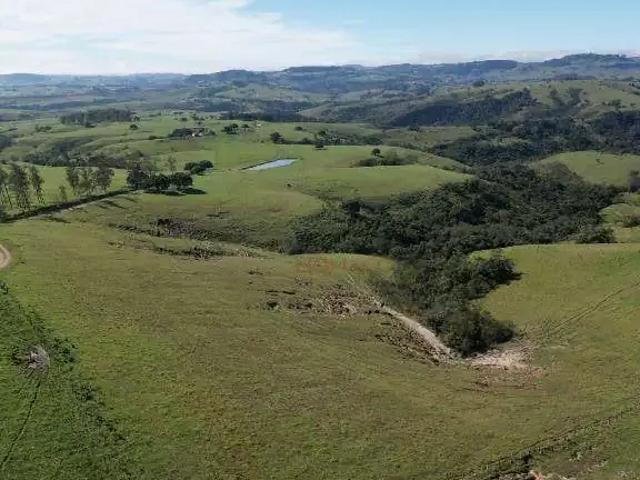 Fazenda para Venda em Ribeirão Claro/PR Condomínio Águas Claras 4 Quartos