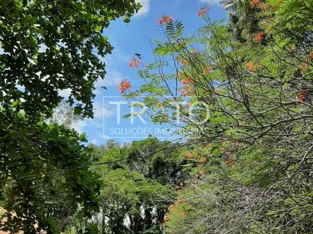 Fazenda para Venda em Ribeirão Claro/PR Residencial Monte Claro 23 Quartos