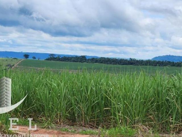 Fazenda para Venda em Ribeirão Bonito, rural, 3 dormitórios, 2 banheiros