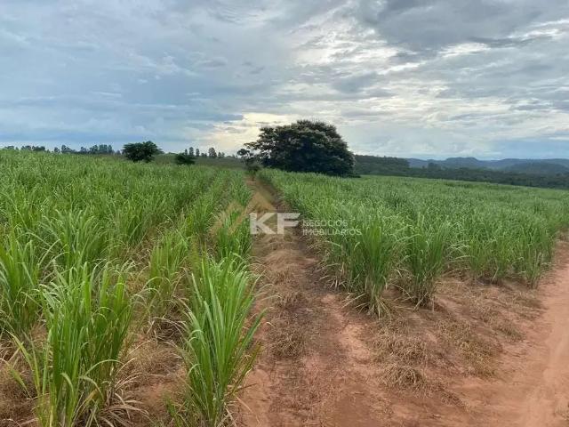 Fazenda para Venda em Ribeirão Bonito/SP Centro 1 Quartos
