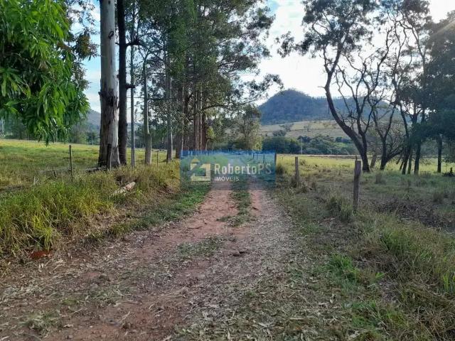 Fazenda para Venda em Ribeirão Bonito/SP Centro 4 Quartos