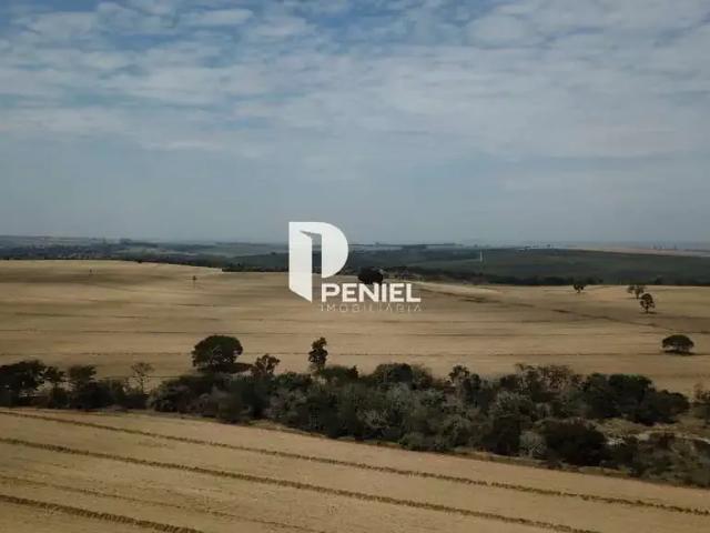 Fazenda para Venda em Ribeirão Bonito/SP Zona Rural