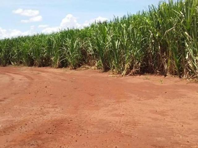 Fazenda para venda em Ribeirão Preto