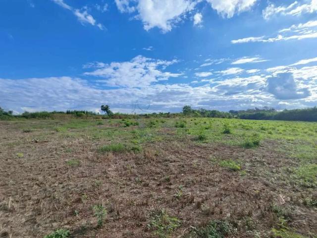 Fazenda para Venda em Ribeirão Preto/SP Adelino Simioni