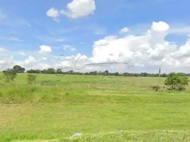 Fazenda para Venda em Ribeirão Preto/SP Adelino Simioni