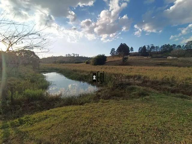 Fazenda para Venda em Rio Novo/MG Centro 3 Quartos
