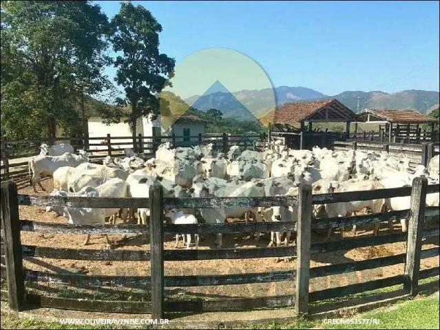 Fazenda para Venda em Rio Bonito/RJ Braçanã 6 Quartos