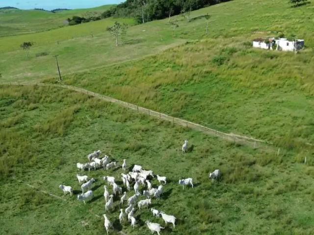 Fazenda para Venda em Rio Bonito/RJ Zona Rural 3 Quartos