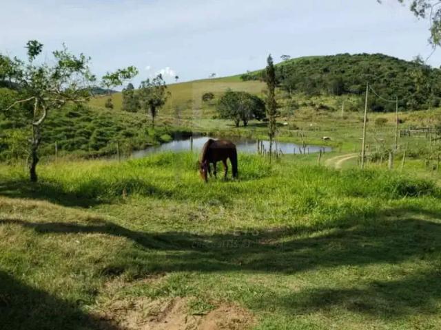 Fazenda para Venda em Rio Bonito/RJ Zona Rural 2 Quartos