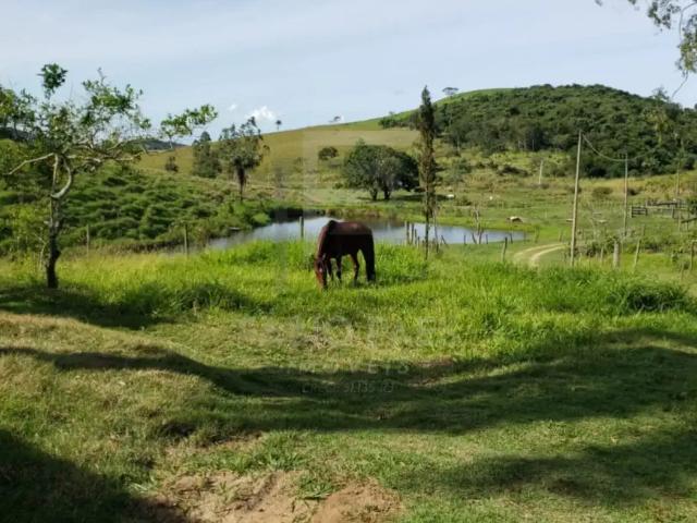 Fazenda para Venda em Rio Bonito/RJ Zona Rural 2 Quartos