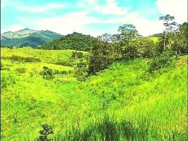 Fazenda para Venda em Rio Bonito/RJ Zona Rural 2 Quartos
