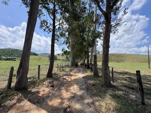Fazenda para Venda em Rio Bonito/RJ Zona Rural 5 Quartos