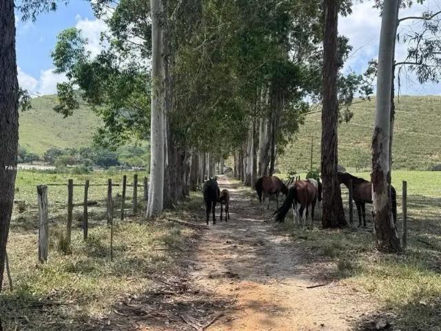 Fazenda para Venda em Rio Bonito/RJ Zona Rural 6 Quartos