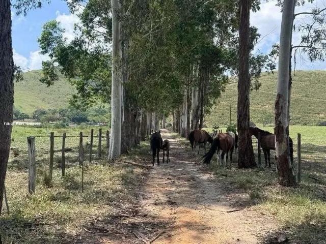 Fazenda para Venda em Rio Bonito/RJ Zona Rural 6 Quartos