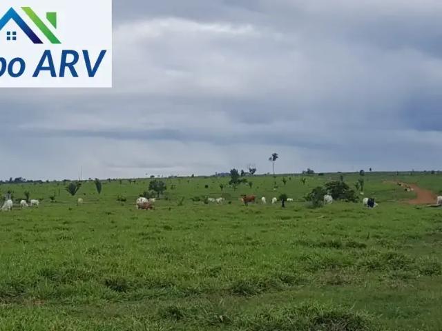 Fazenda para Venda em Rio Branco/AC Área Rural de Rio Branco